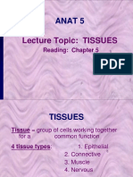 Body Tissues Concept Map Guide | PDF