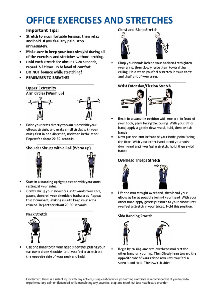 Office Exercises and Stretches: Important Tips | PDF | Anatomical Terms ...