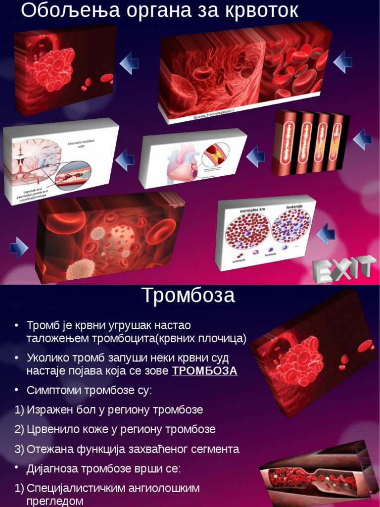 Oboljenja Organa Za Krvotok | PDF