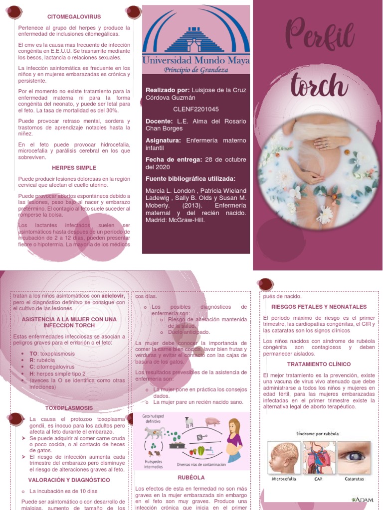 Perfil TORCH tríptico.pdf | PDF | Microbiología | Especialidades Medicas