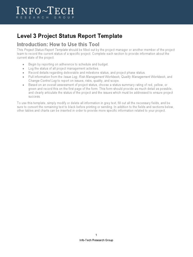 Level 3 Project Status Report Template: Introduction: How To Use This ...
