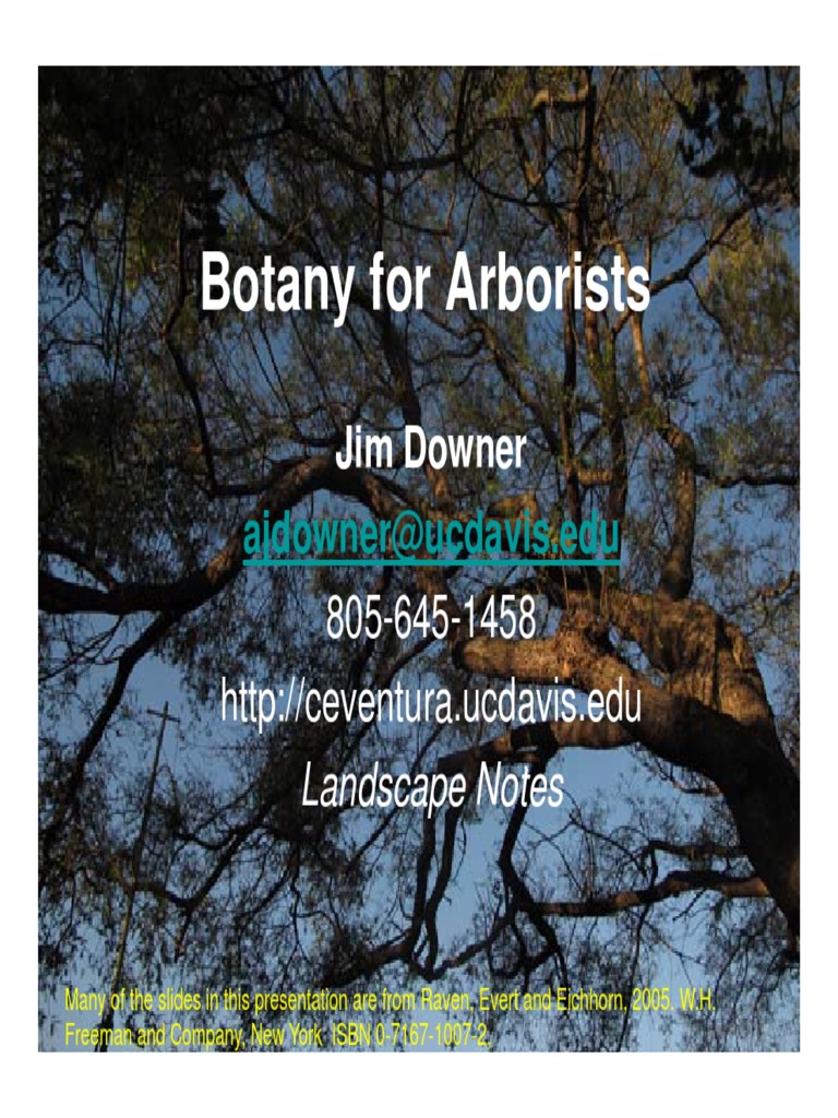 Botany For Arborists | PDF | Leaf | Mitosis
