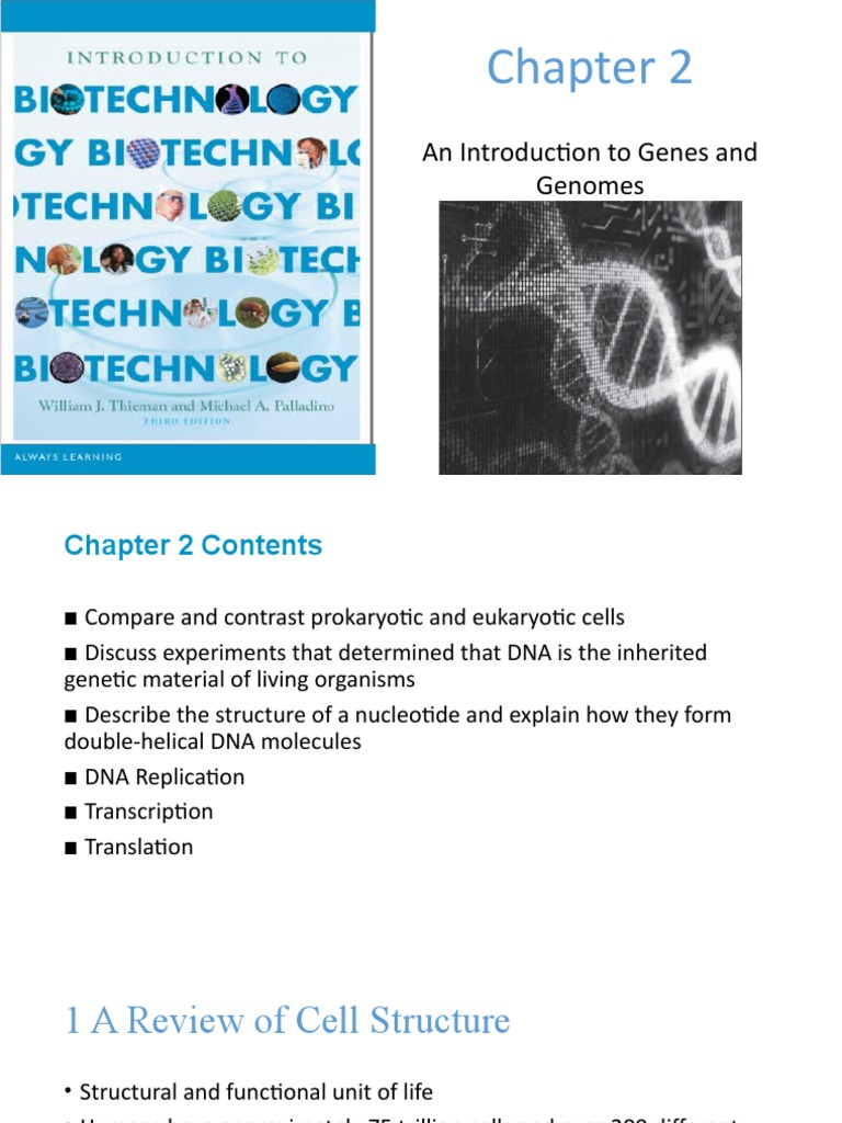 An Introduction To Genes and Genomes | PDF | Dna | Gene