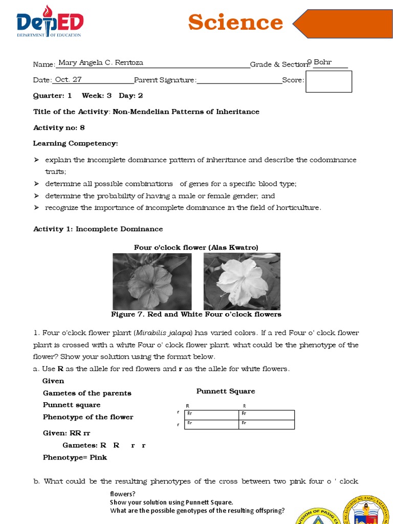 Activity 1: Incomplete Dominance | PDF | Dominance (Genetics) | Genotype