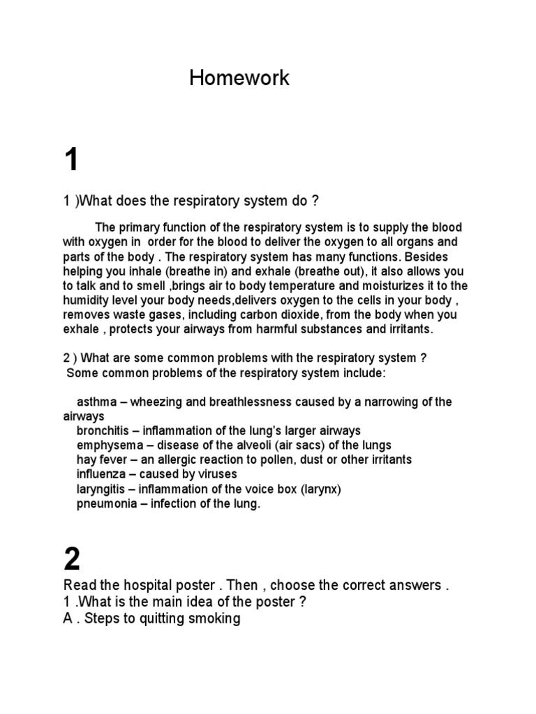 Homework: 1) What Does The Respiratory System Do ? | PDF