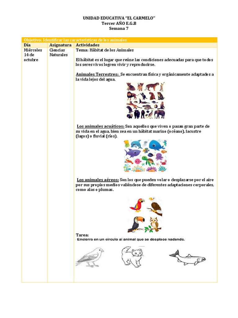 Hábitats Animales: Proyecto Escolar | PDF | Ciencias sociales | Hogar ...