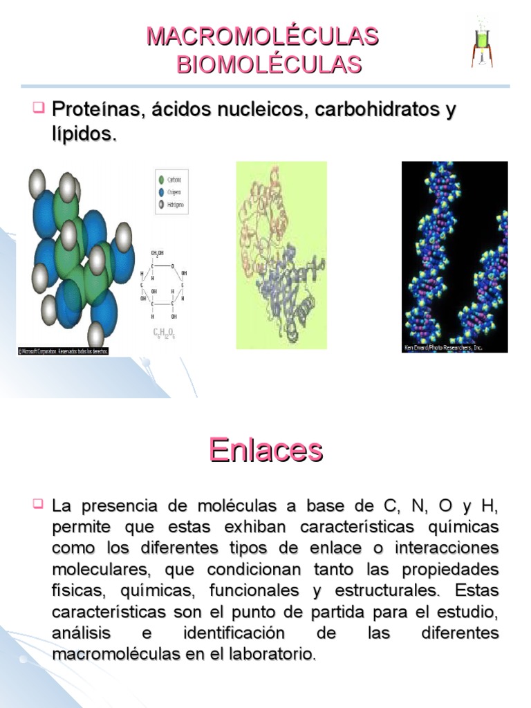 Macromoleculas | PDF | Macromoléculas | Proteínas