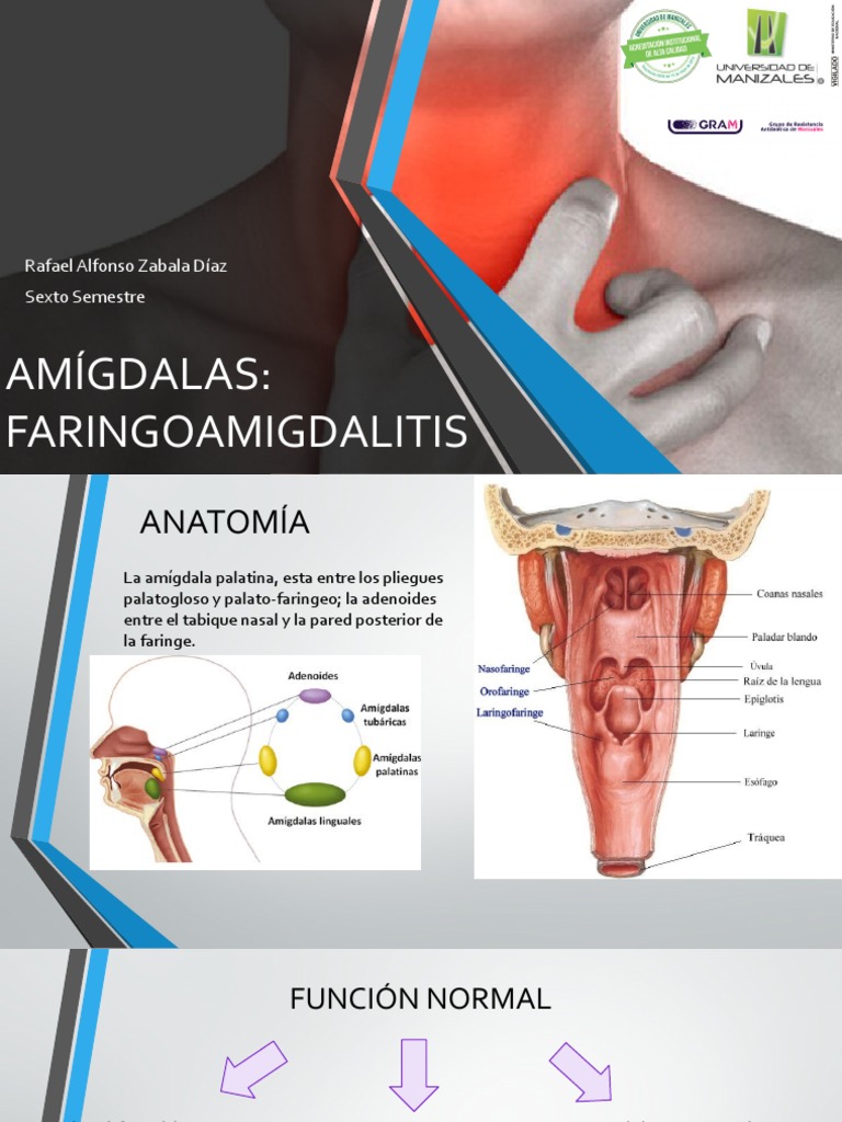 FARINGOAMIGDALITIS | PDF | Medicina CLINICA | Inmunología
