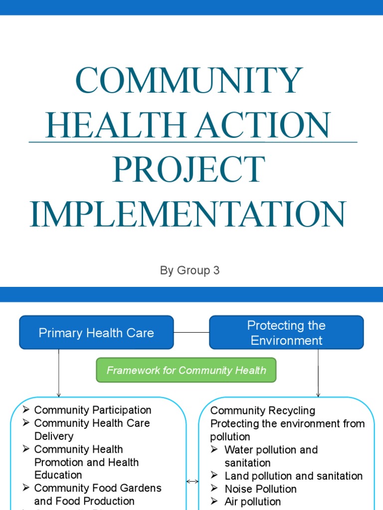 Community Health Action Project Implementation | PDF