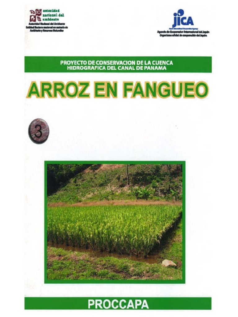 Arroz en Fangueo PDF | PDF