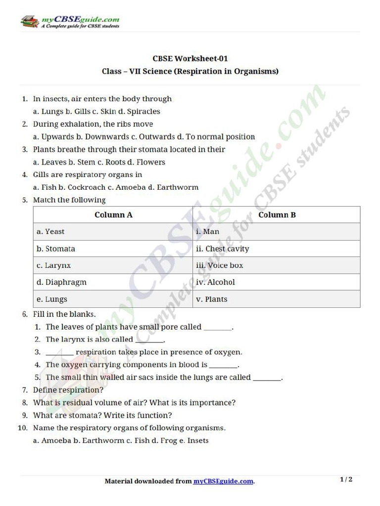 7 Science Worksheet ch10 1 | PDF