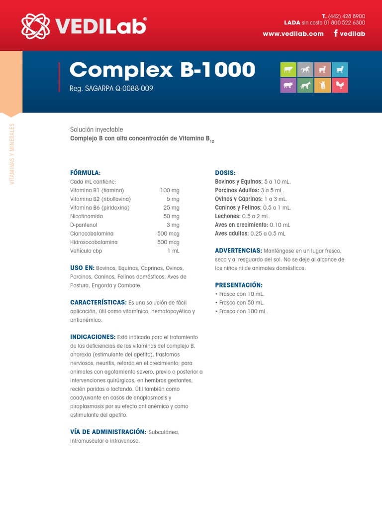 VediLab-Complex B-1000 | PDF | Suplementos dietéticos | Medicina CLINICA
