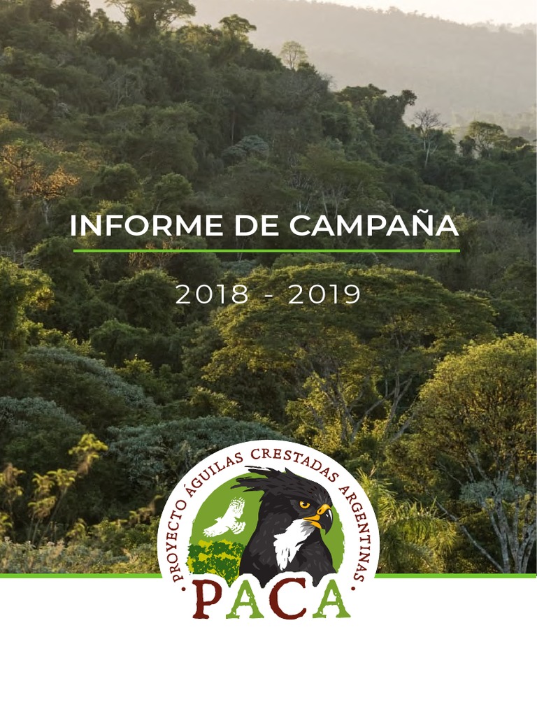 INFORME PACA 2018-2019 Final PDF | PDF | Aves de presa | Aves