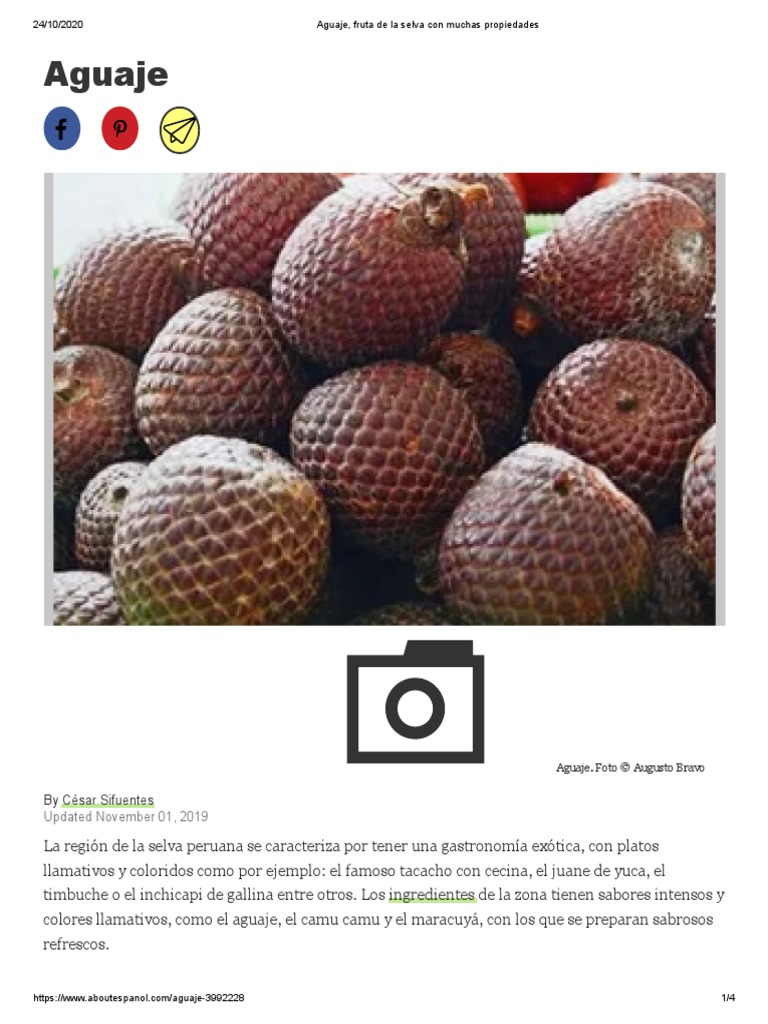 Aguaje, Fruta de La Selva Con Muchas Propiedades | PDF | Vitamina | Bebidas