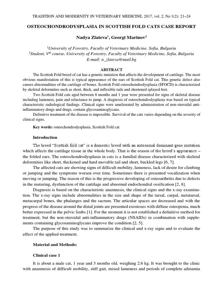 Devon Rex Cat Presents Devon | PDF | Musculoskeletal System | Diseases ...