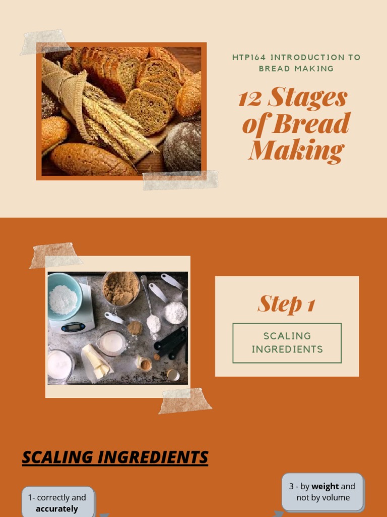 12 Stages of Bread Making PDF | PDF | Breads | Dough