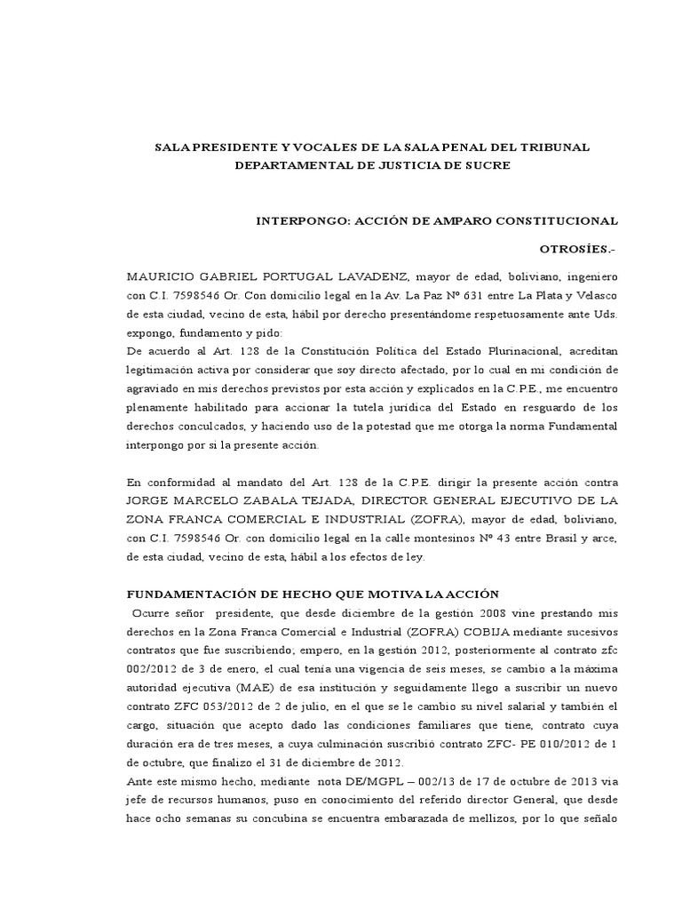 Accion de Amparo Constitucional | PDF | Constitución | Bolivia
