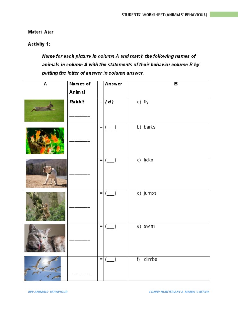 Worksheet (Animal's Behavior) | PDF | Pet | Rabbit