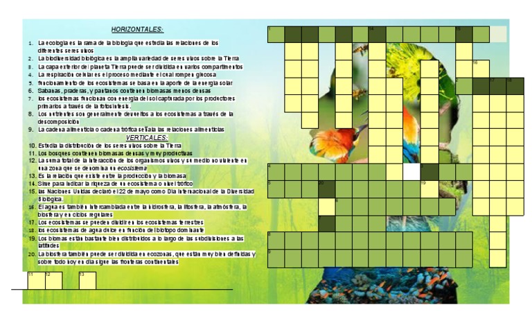 Hoja De Trabajo De Crucigramas Sobre Ecosistemas