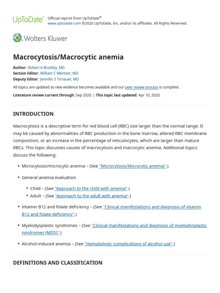 Macrocytosis - Macrocytic Anemia - UpToDate | PDF | Anemia | Red Blood Cell