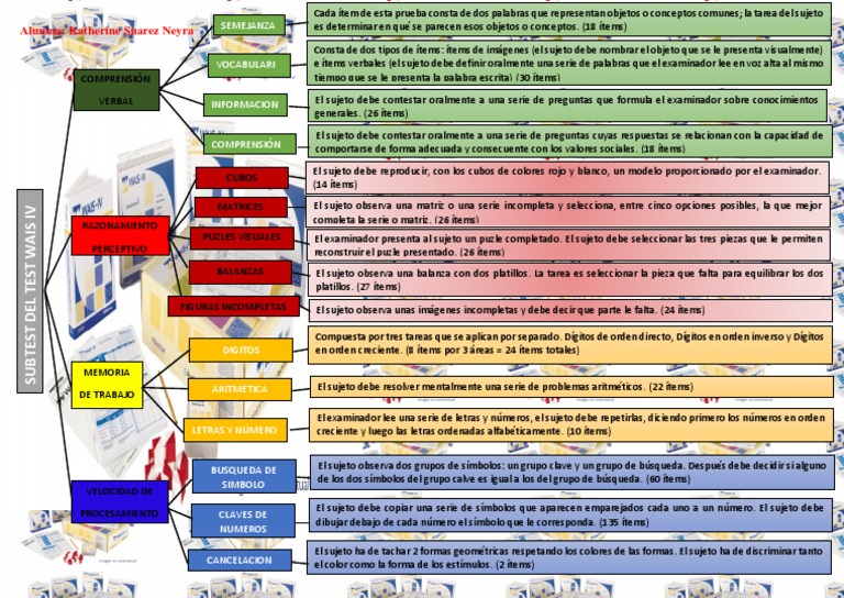 Organizador Wais Iv (Katty Suarez Neyra) PDF | PDF | Matriz ...