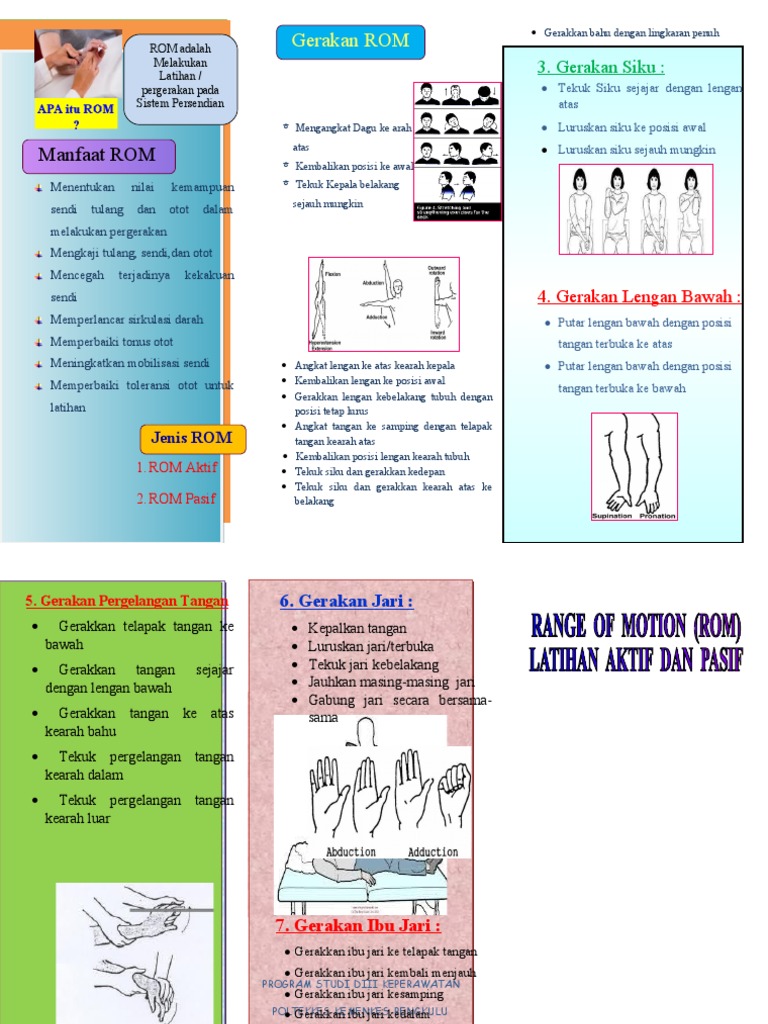 Leaflet-Rom Penkes Fraktur | PDF