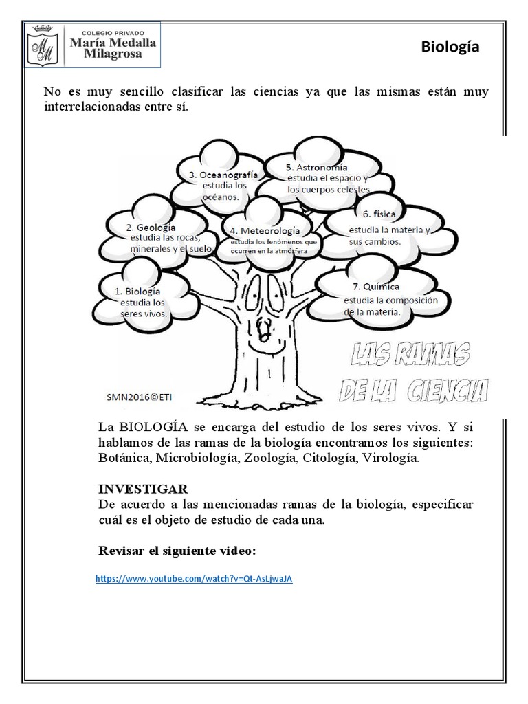 Las Ramas de La Ciencia | PDF