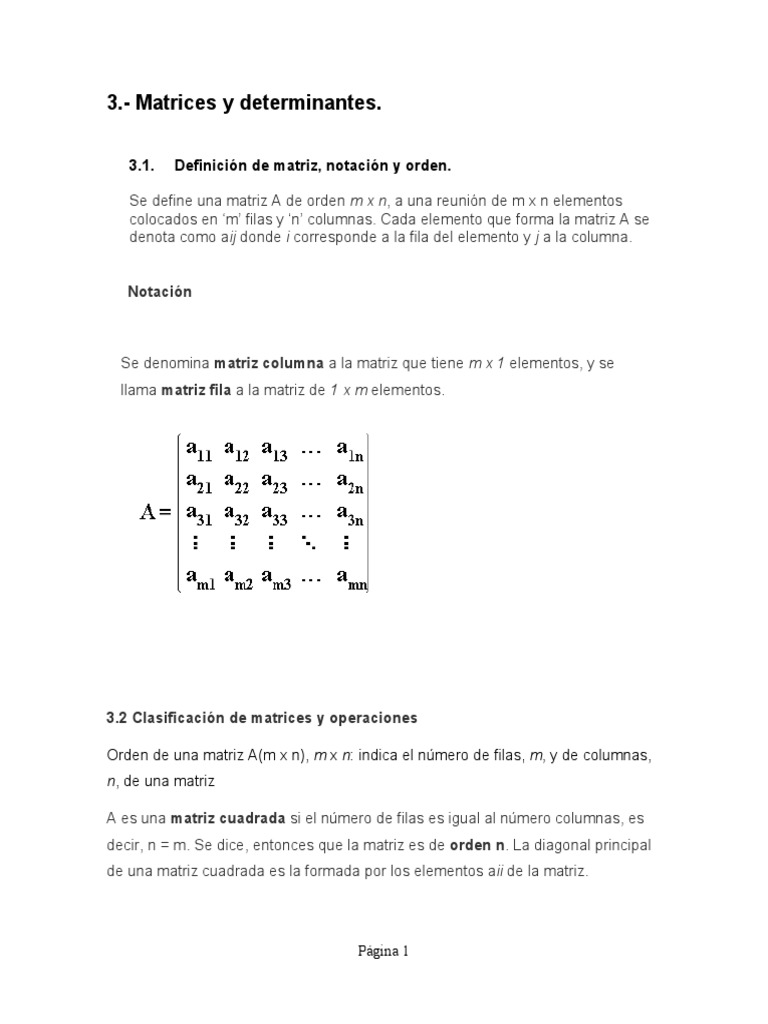 Tema 2 Matrices | PDF | Matriz (Matemáticas) | Determinante