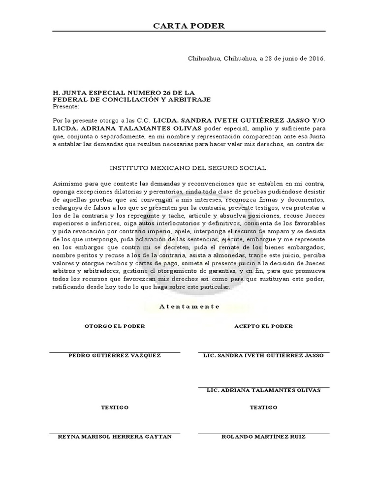 Carta Poder Simple Federal | PDF