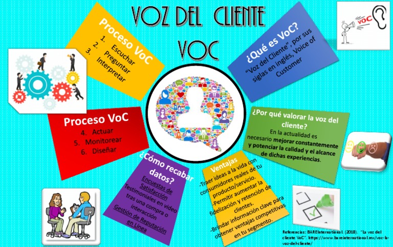 Voc Voz Del Cliente | PDF