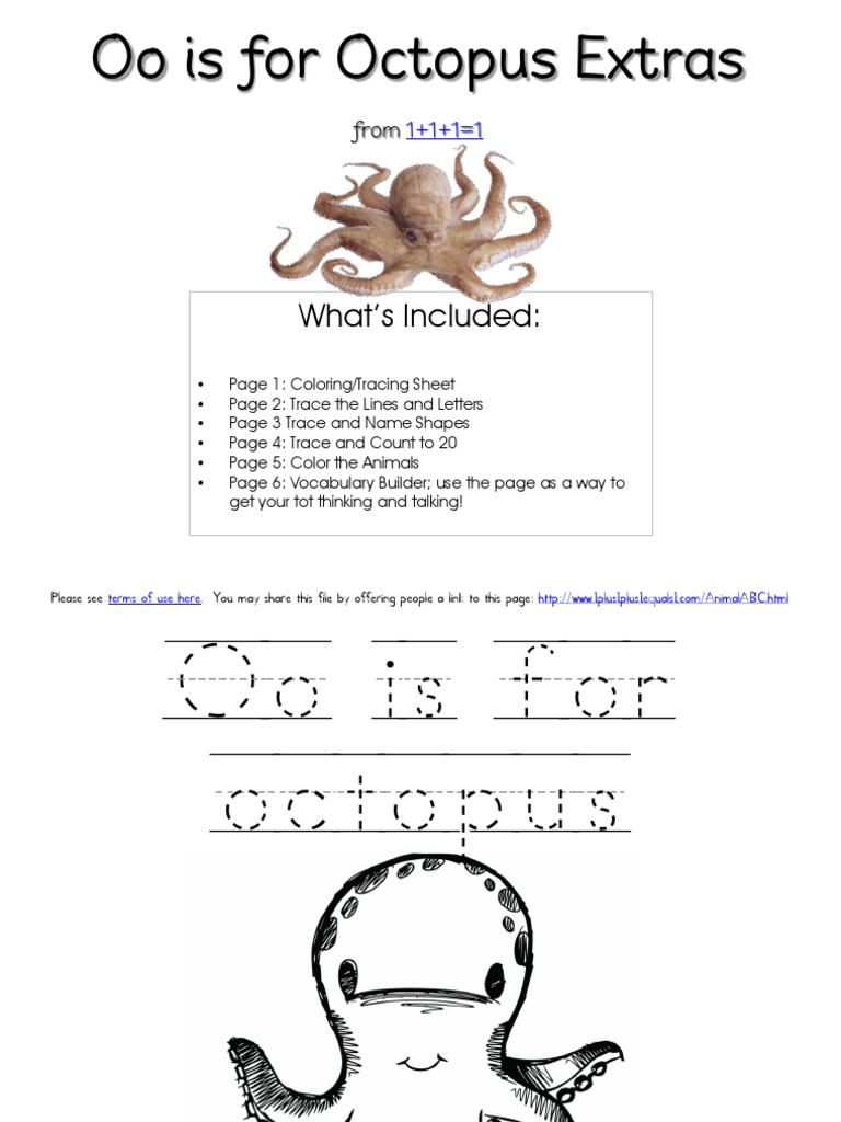 Oo Is For Octopus Extras: What's Included | PDF | Home & Garden