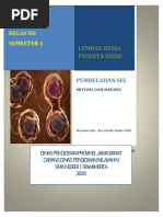 Modul Ajar XI Pembelahan Amitosis | PDF