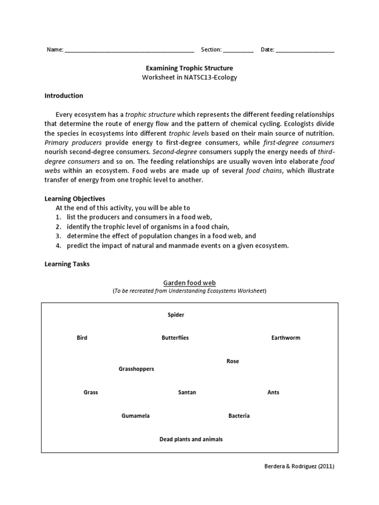 Trophic Structure Worksheet Guide | PDF | Food Web | Biogeography