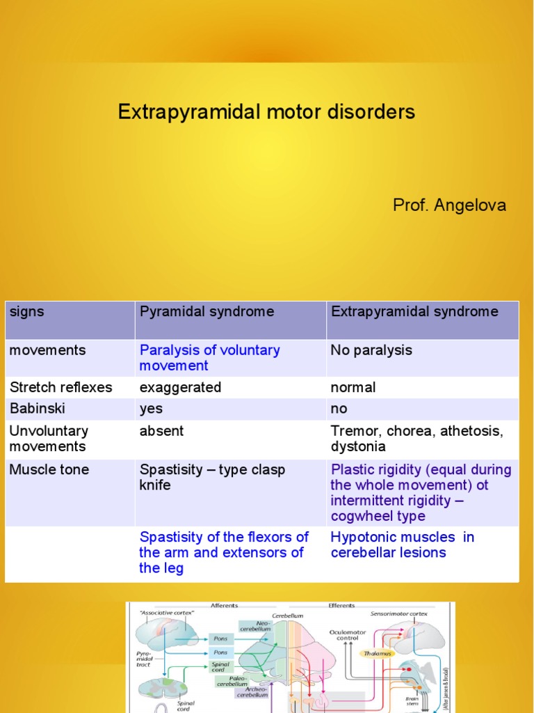Extrapyramidal Disorders, Oedema | PDF | Cerebellum | Striatum