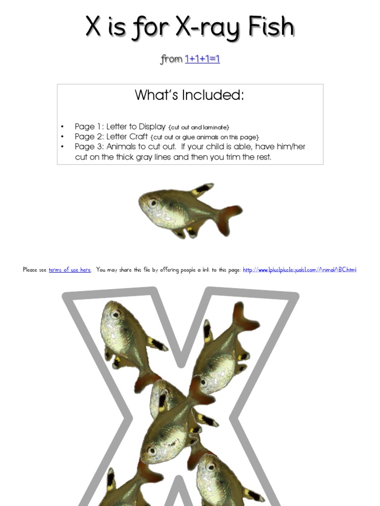 X Is For Xray Fish | PDF