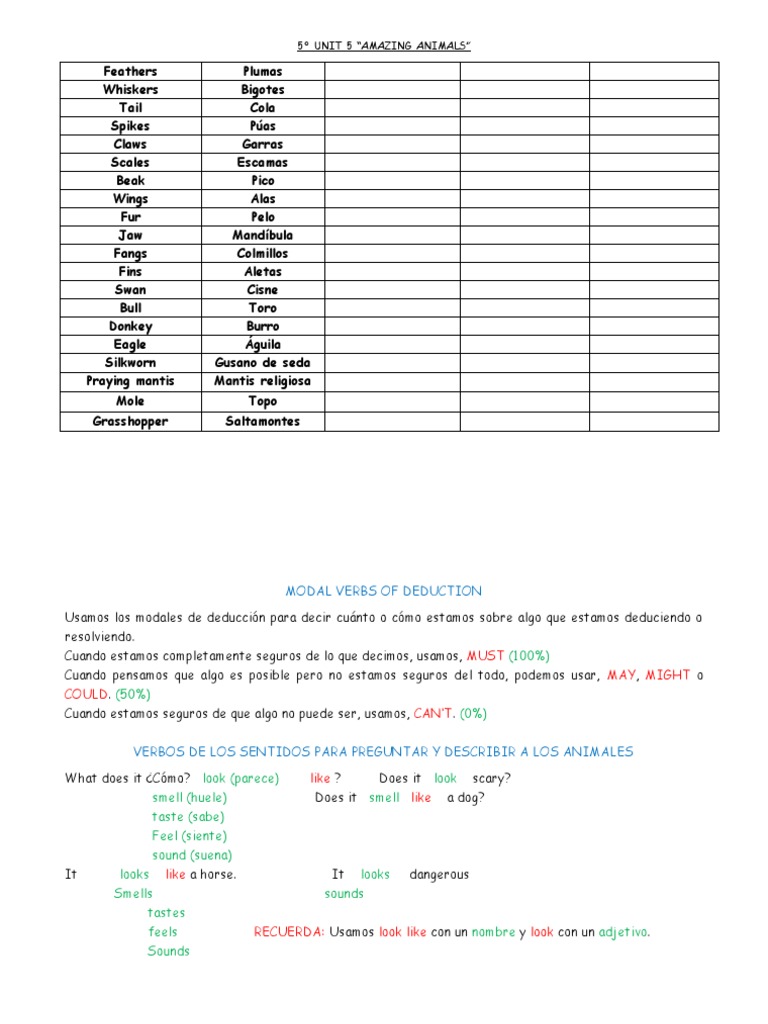 5º Unit 5 High Five | PDF