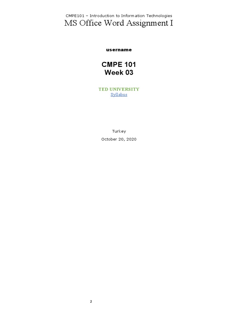 MS Office Word Assignment I: CMPE 101 Week 03 | PDF