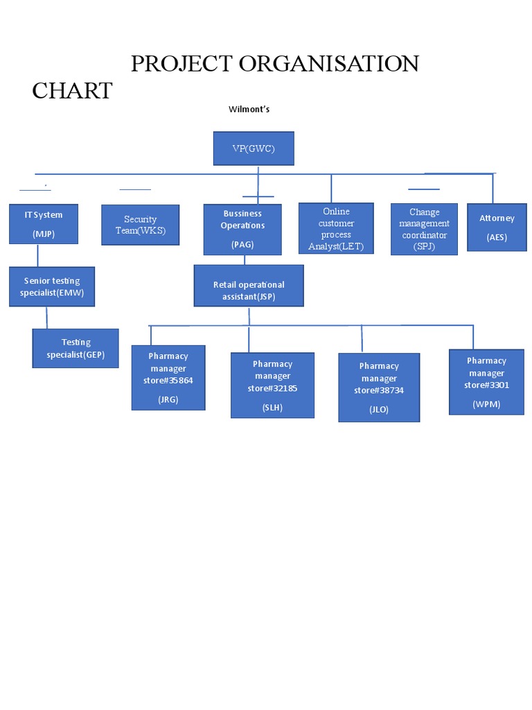Project Organisation Chart Wilmonts | PDF