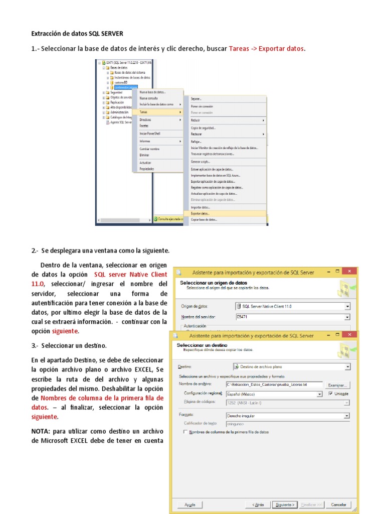 Guía de Extracción de Datos SQL Server | PDF | Servidor SQL de ...