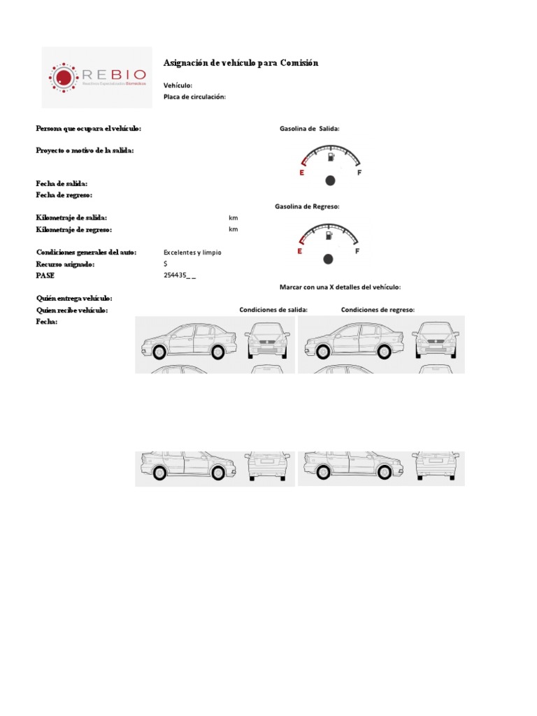 Formato Auto Utilitario Rebio | PDF