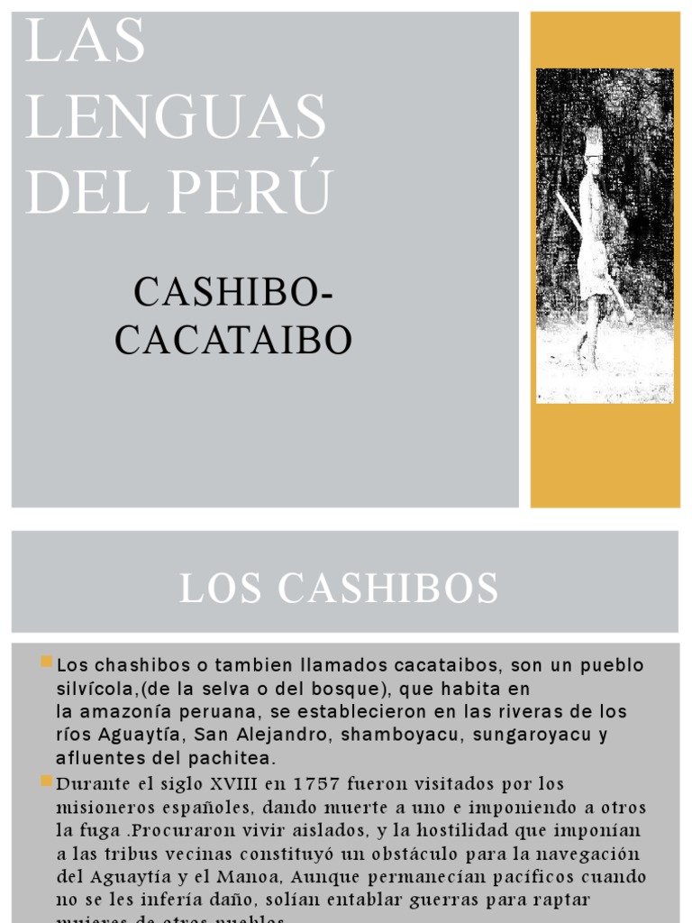 Cashibo Cacataibo | PDF | Agricultura