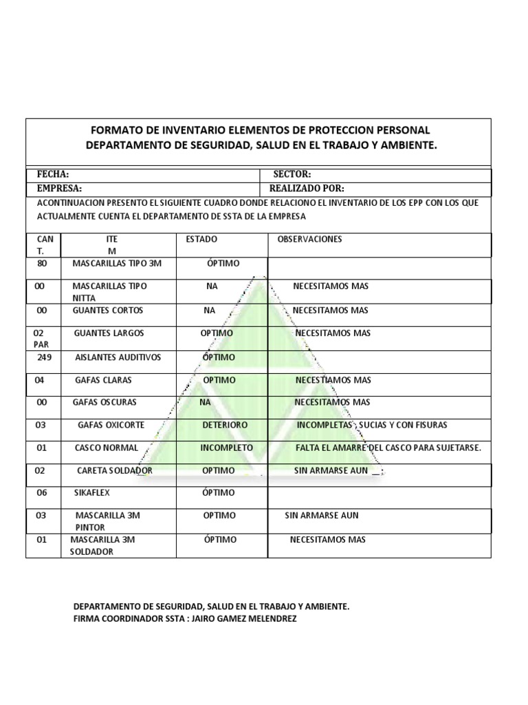 Formato de Inventario Epp | PDF