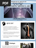 Escala ASIA: Clasificación de Lesiones Medulares | PDF