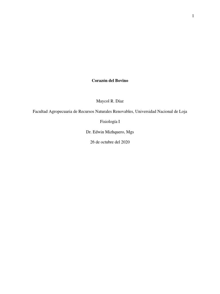 Corazón Bovino | PDF | Corazón | Sistema circulatorio