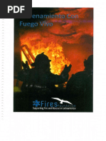 NFPA 1041 Instructor I Espanol | PDF | Evaluación | Plan de estudios