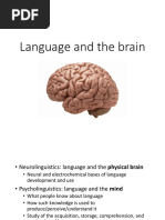 Tachistoscope in Cognitive Research | PDF | Attention | Recall (Memory)