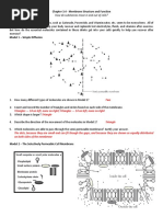 Amoeba Sisters Video Recap: ATP | PDF | Adenosine Triphosphate ...