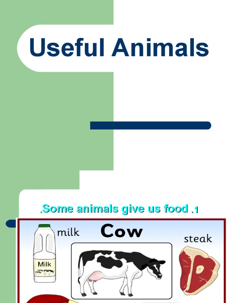 Useful Animals | PDF | Wellness