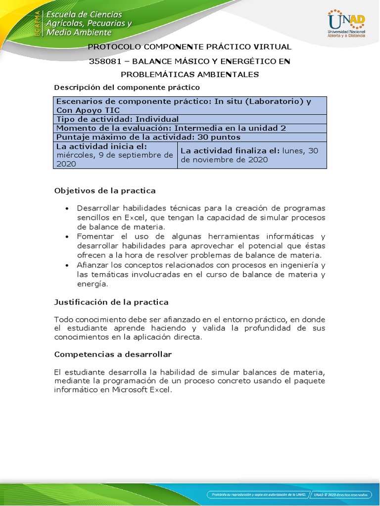 Protocolo Practica Virtual PDF | PDF