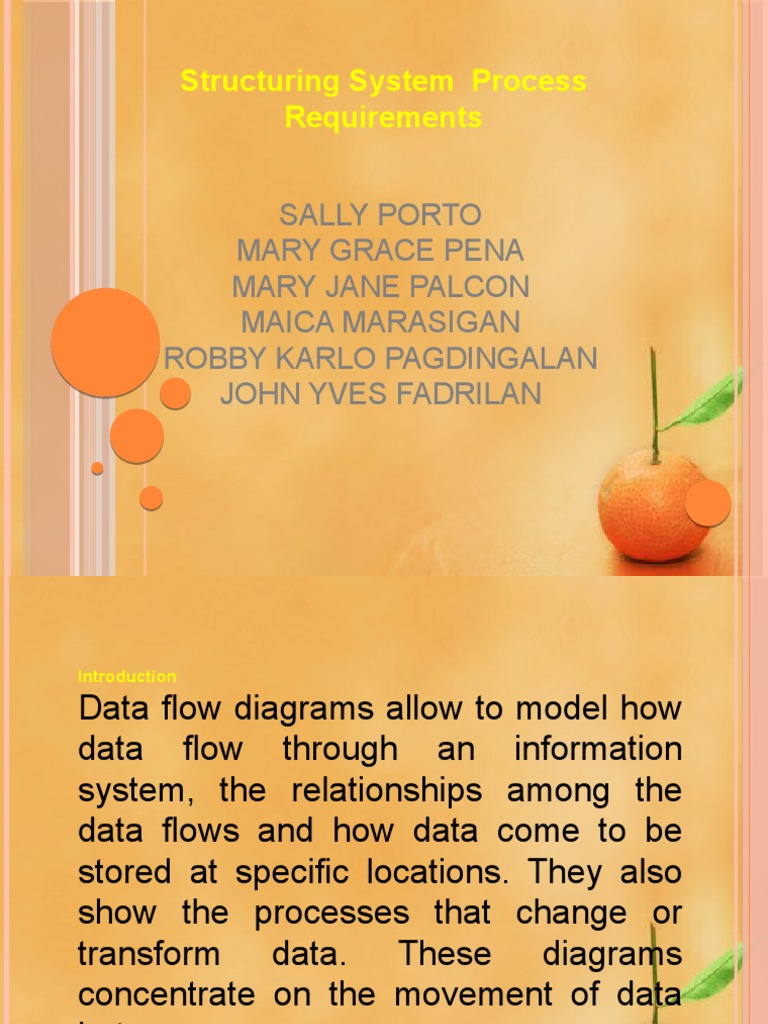 Structuring System Process Requirements | PDF | Data | Information Technology